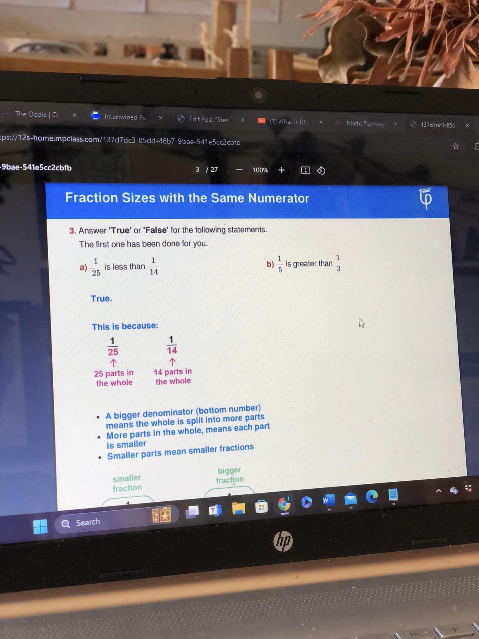 The homeschooling program making a difference - Maths Pathway