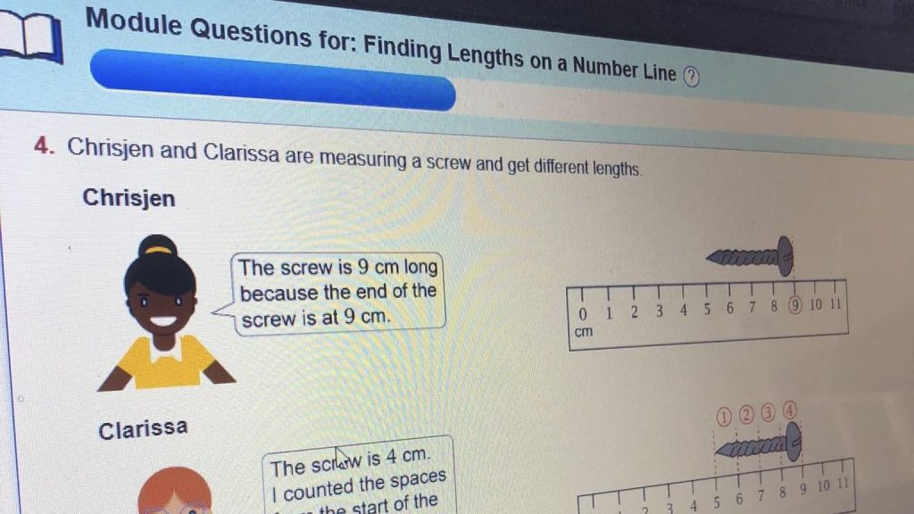 The homeschooling program making a difference - Maths Pathway