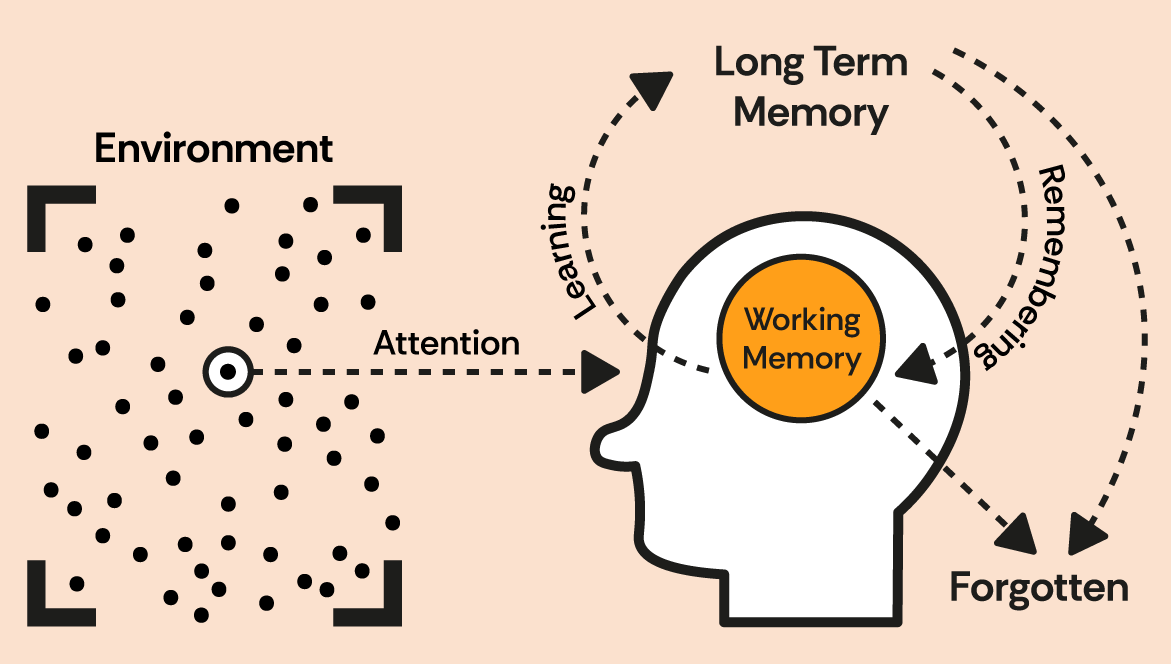 How does working memory impact learning? - Maths Pathway